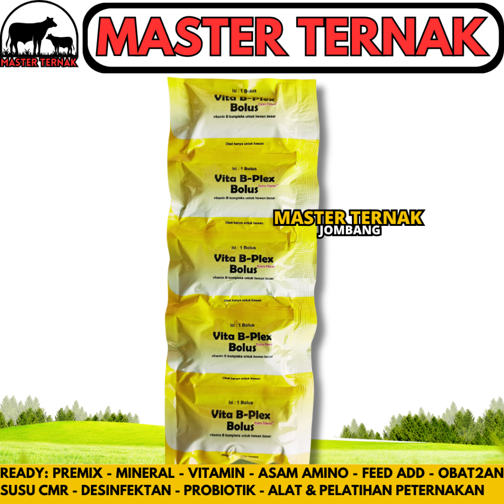 Vita B PLEX Bolus SACHET (5 Bolus) EXTRA FLAVOR - Vitamin B Complex ...