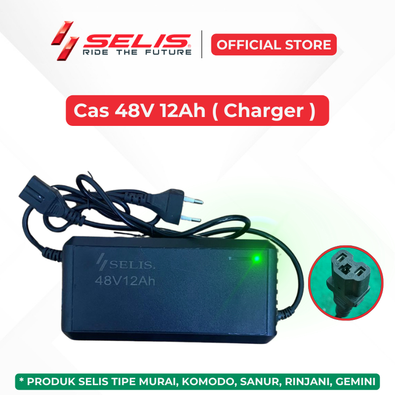 SELIS - Universal 48 Volt 12 Ah Electric Motorcycle SLA (Le Lead Acid ...
