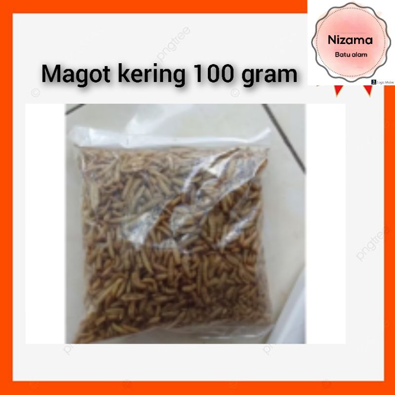 Dried Maggot 100gr/dry Magot/Bsf Maggot/Magot/ | Shopee Malaysia