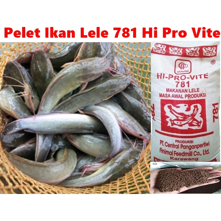 Fish Feed 1kg Freshwater Fish Pellet Catfish Pomfret Tilapia Pellets Hi ...
