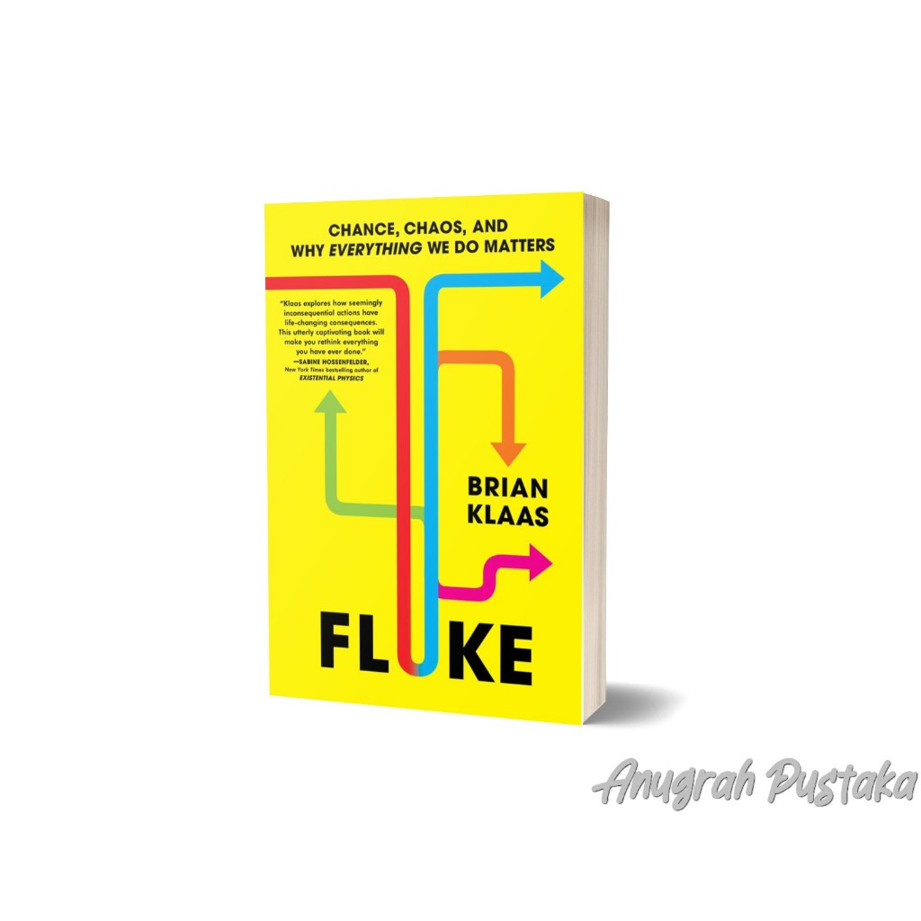 (English) Fluke: Chance, Chaos, and Why Everything We Do Matters by ...
