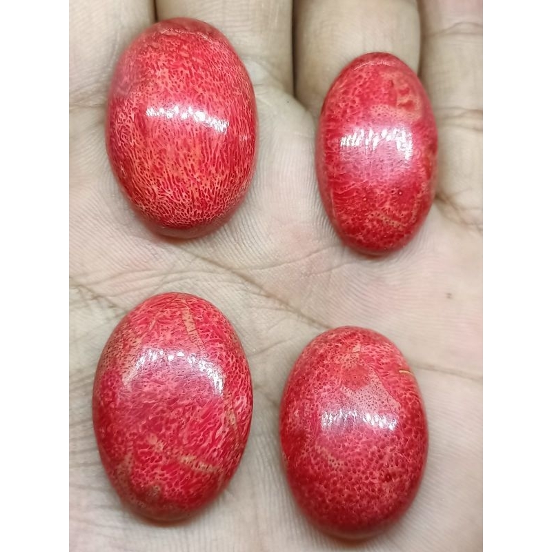 Red Coral Marjan Stone, Jumbo, Original Natural | Shopee Malaysia
