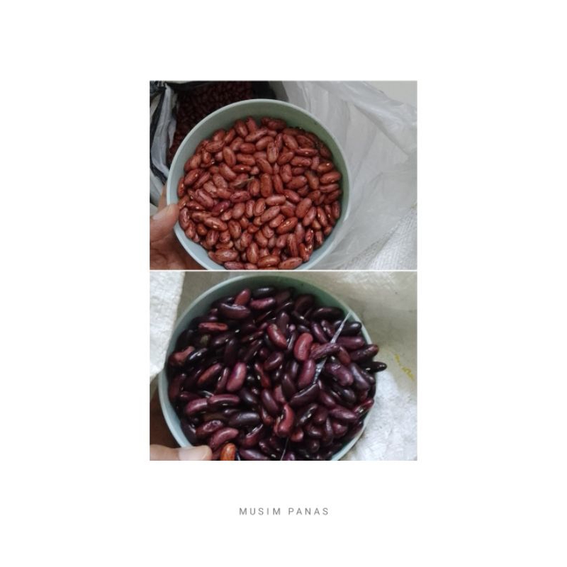 MERAH Red Beans Ice Beans 250 Grams 500ML BOX Packaging | Shopee Malaysia