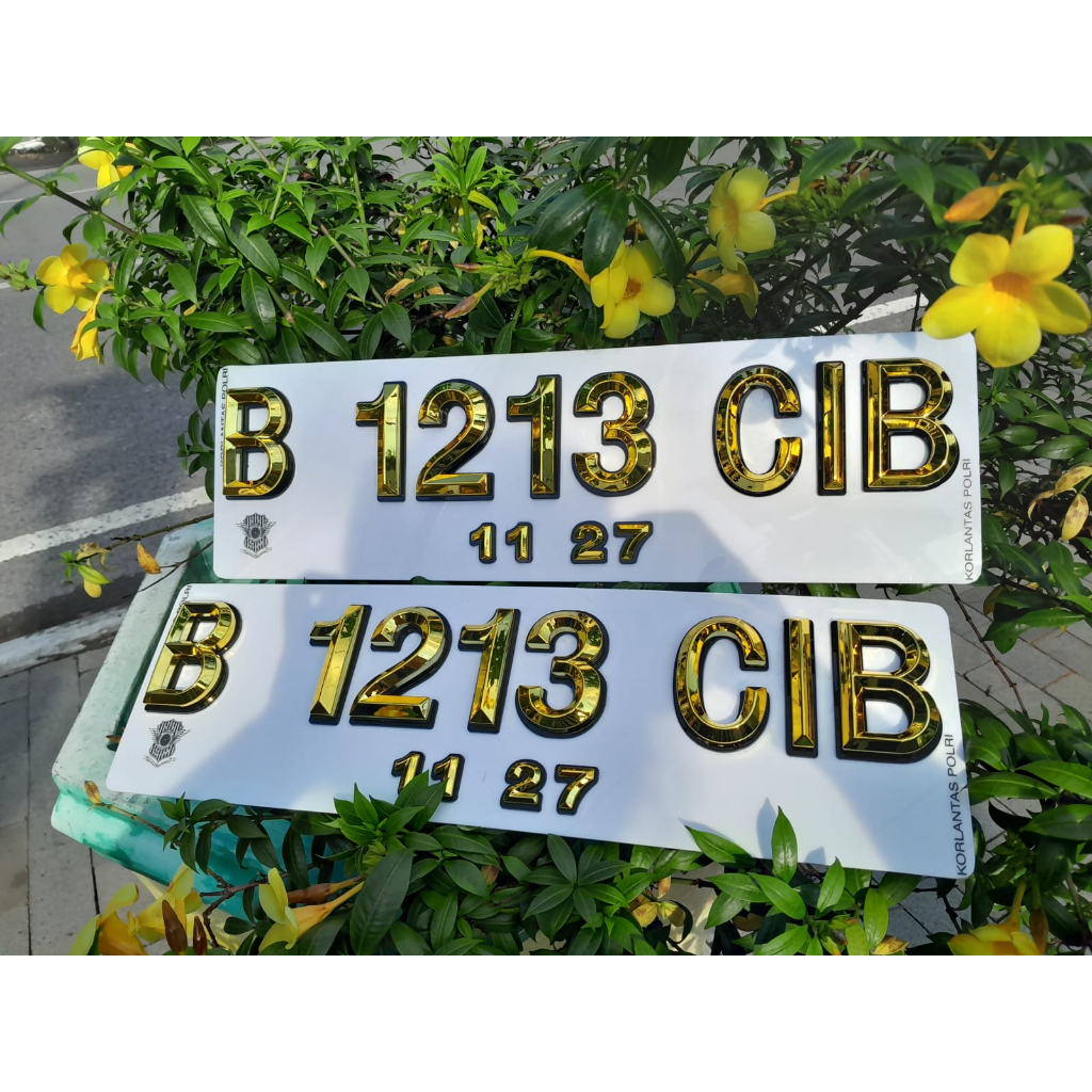 Diamond Gold Car Embossed Number Plate With List/Tapak | Shopee Malaysia