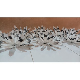 Kirip bulu/Dayak Traditional Dance Accessories (Price Is Already 1 Pair ...
