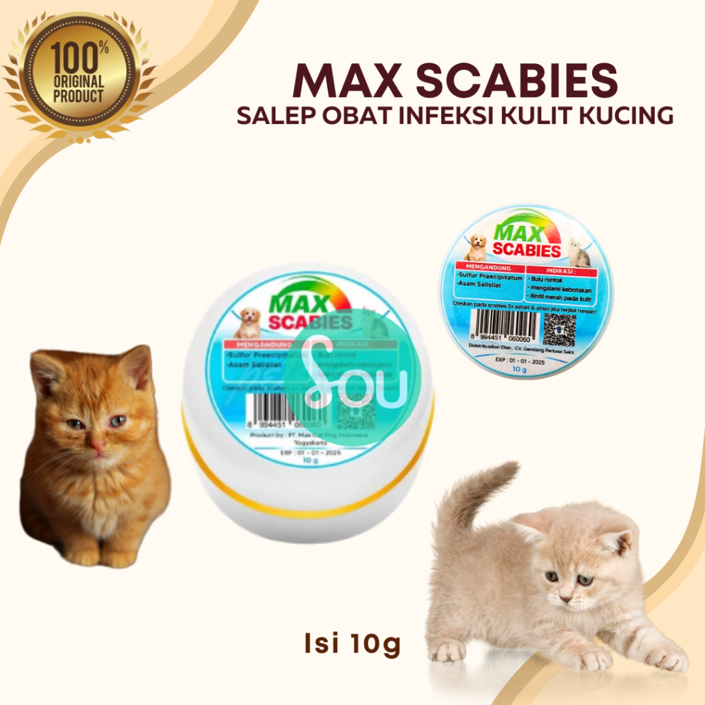 Cat Skin Ointment Max Scabies Cat Skin Infection Medicine Cat Fungus ...