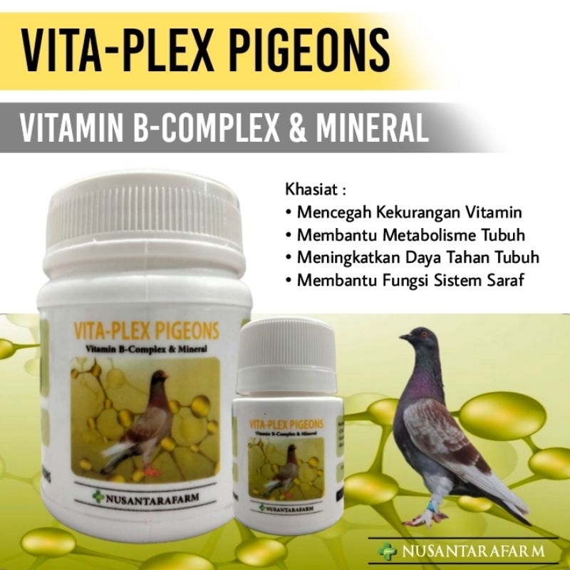 Vita plex pigeons vitamin b-complex Special Pigeon Supplement Pigeon ...