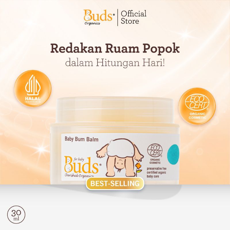 Buds - Baby Bum Balm 50ml | Diaper Rash Treatment Cream Or Lotion ...