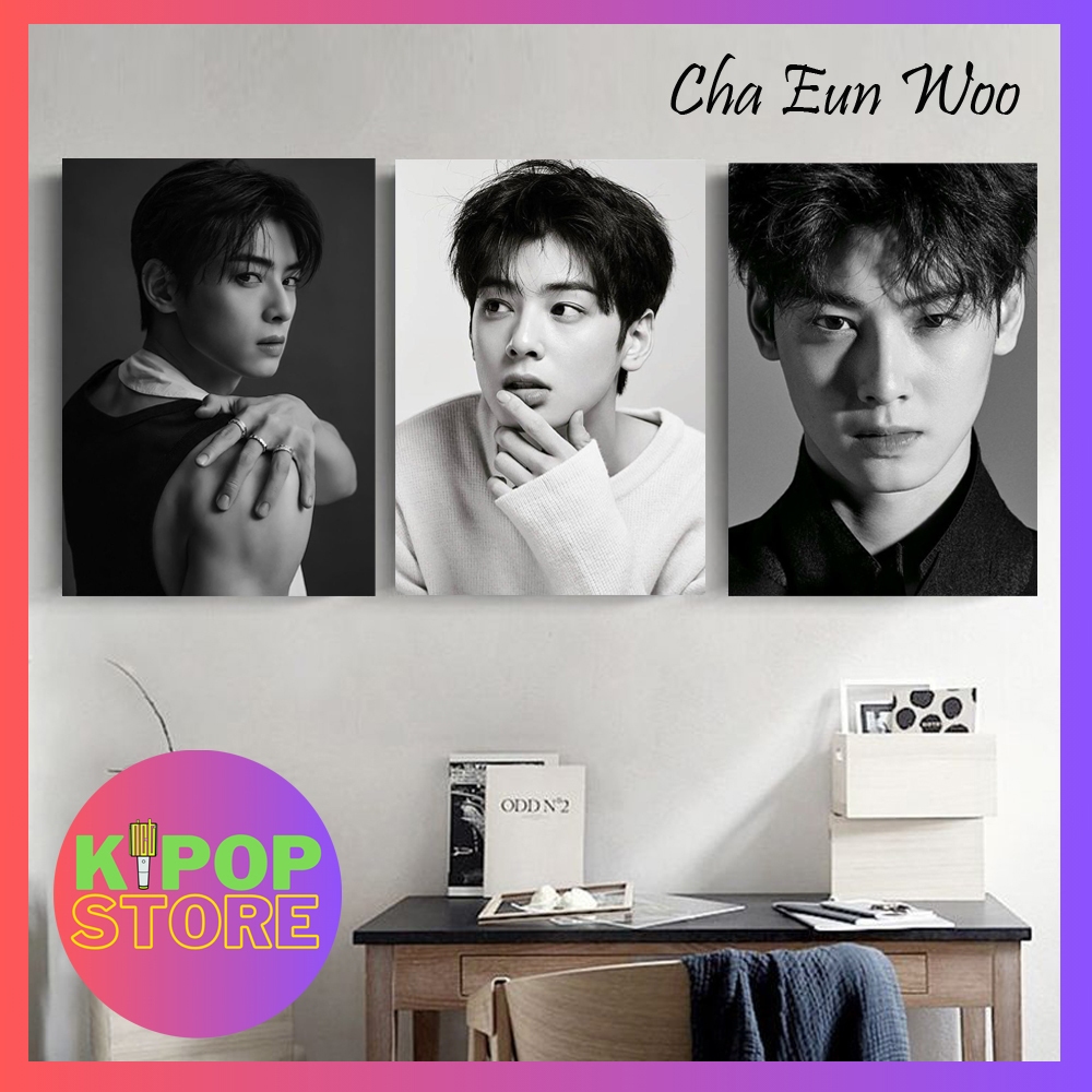 HIASAN DINDING KAYU Ks Cha Eun Woo Wooden Poster Korean Drama Actor Room Wall Decoration I K-POP ...