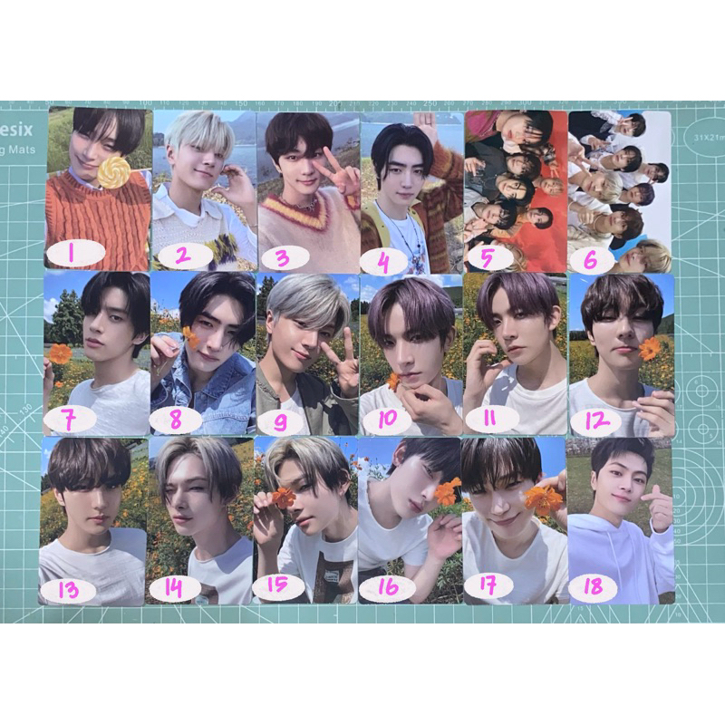 Photocard OFFICIAL ENHYPEN ORANGE BLOOD WEVERS | Shopee Malaysia