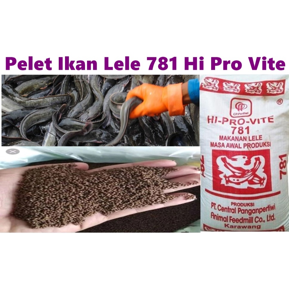Fish Feed 1kg Freshwater Fish Pellet Catfish Pomfret Tilapia Pellets Hi ...