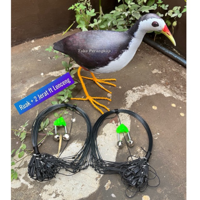 Rice Kareo Ruak Bird Statue Plus Racik Snare | Shopee Malaysia