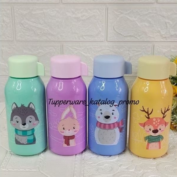 Fancy Eco Bottle 350ml | Shopee Malaysia