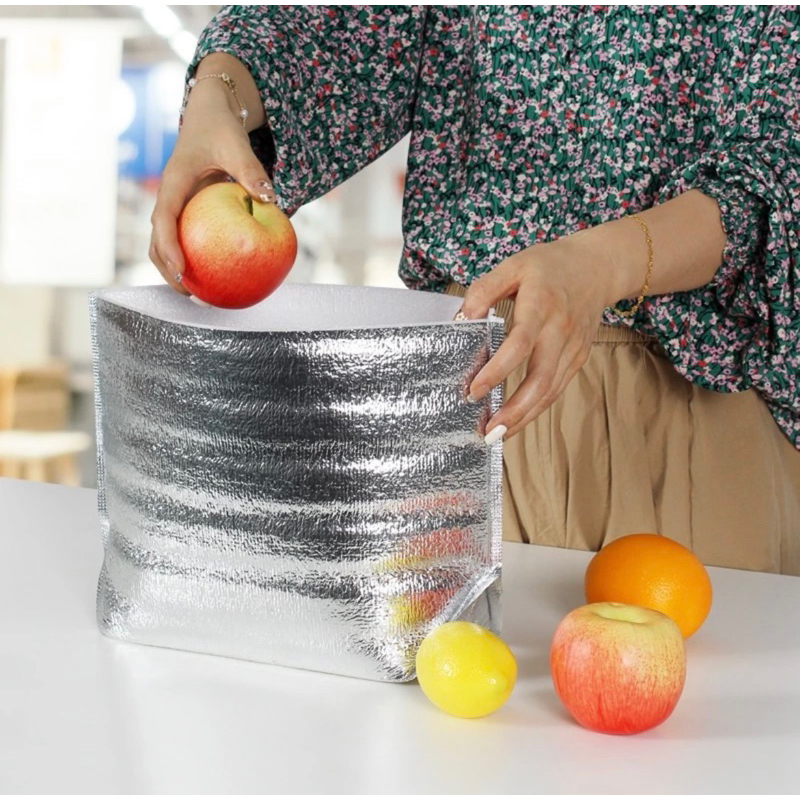 Insulated thermal Cooler Bag Pouch Thermapack Frozen Food Packaging ...