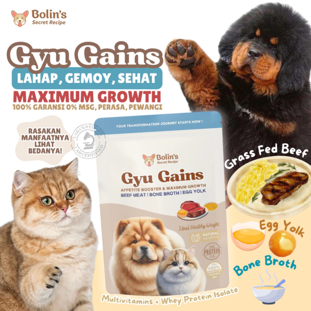Bolin's Secret Recipe Gyu Gains 50gr Appetite Enhancer Fattening ...