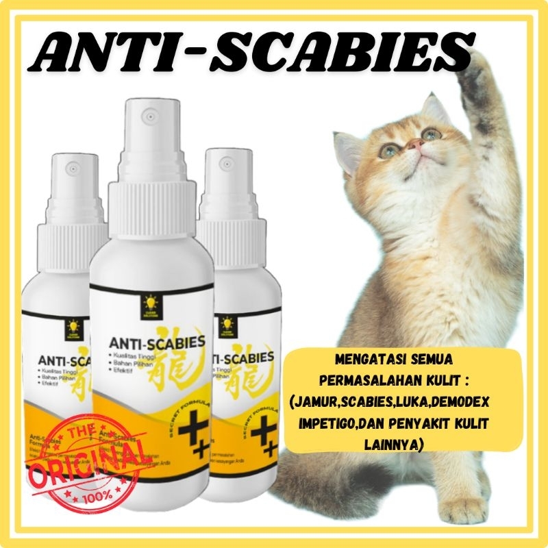 Anti SCABIES CAT DOGS | Demodex IMPETIGO PARASITE FLEA MOLD ...