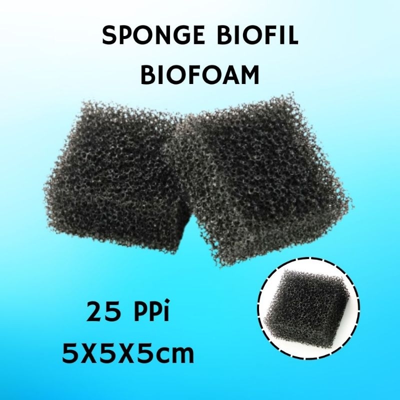 Biofil sponge 5x5x5 cm | Shopee Malaysia