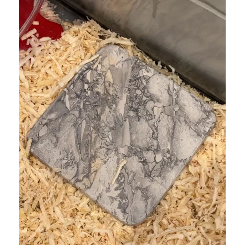 MARBLE STONE 10x10 - COLLING PAD FOR HAMSTER MARBLE STONE NATURAL ...