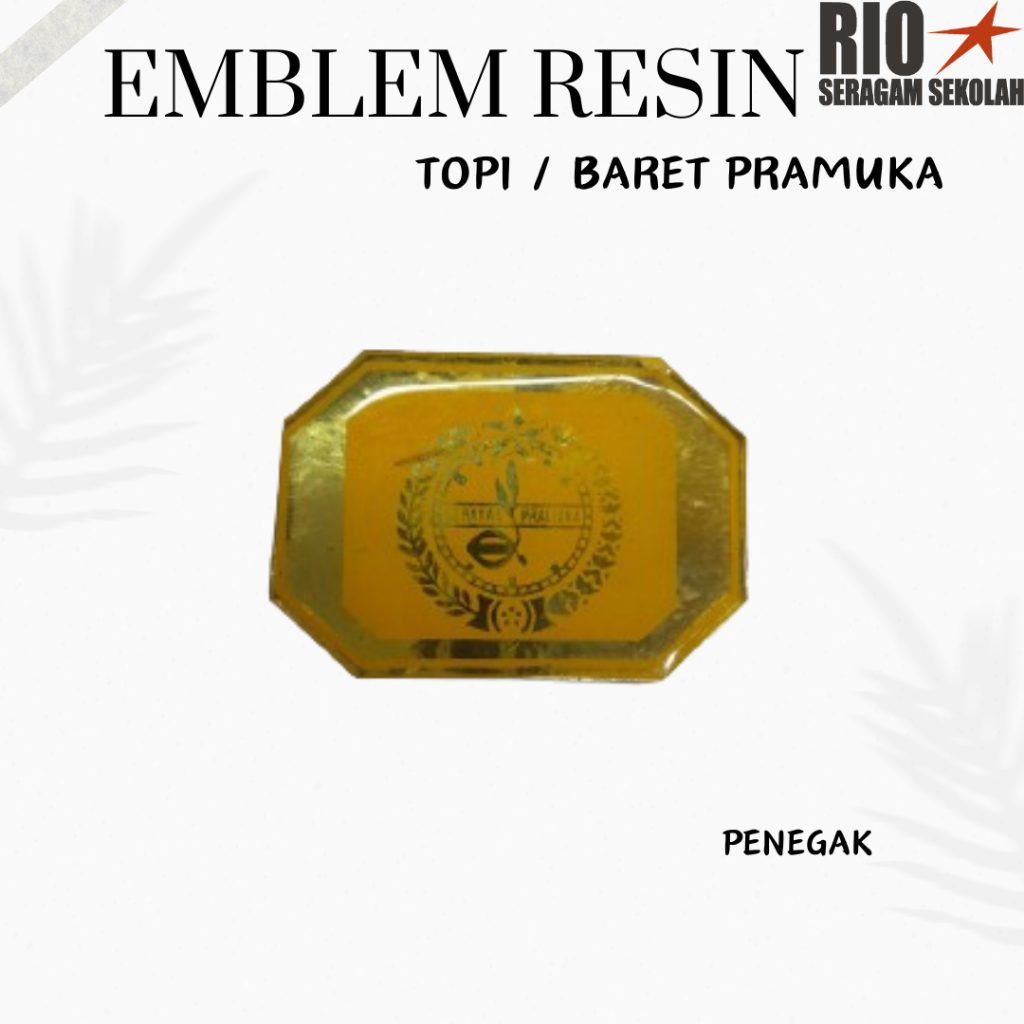 Resin Standby Enforcement EMBLEM/ Scout Hat PIN/ Beret EMBLEM/ Boy Girl ...