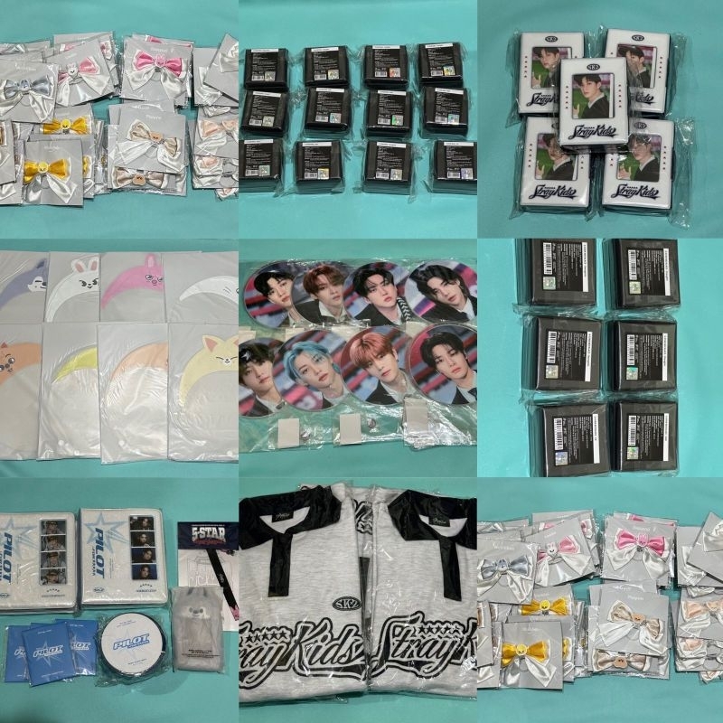 Official Stray Kids Merchandise Fanmeeting Pilot Dome Tour Seoul ...