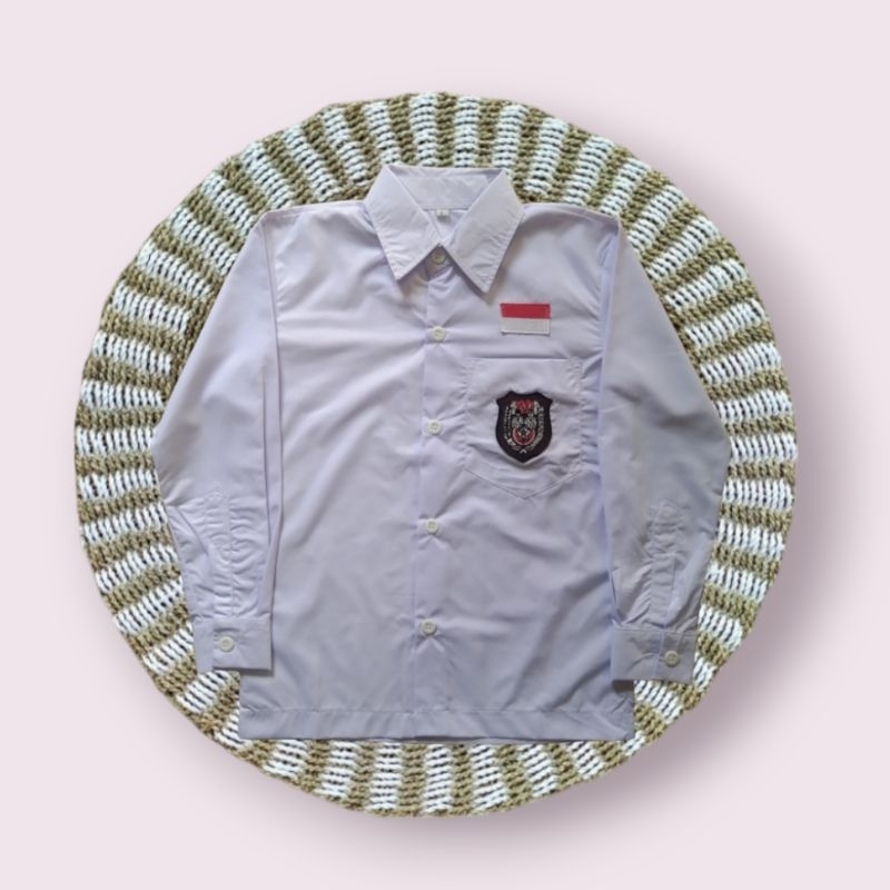 Long Sleeve Uniform for Grades 1-6 Elementary School Children | Shopee ...