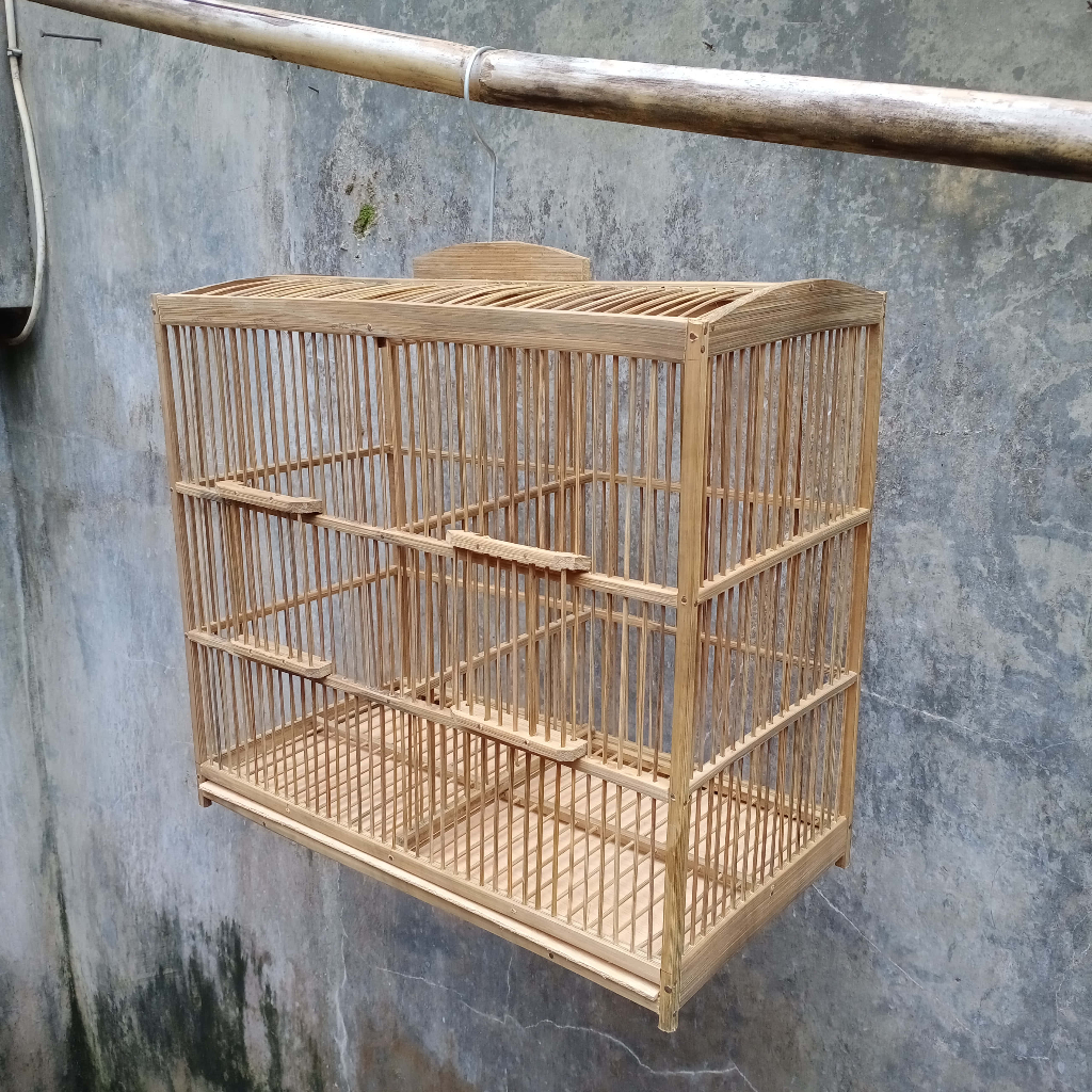 Curved top 2 partition cage for Prenjak, Pleeci, Sogon, Ciblek, etc ...
