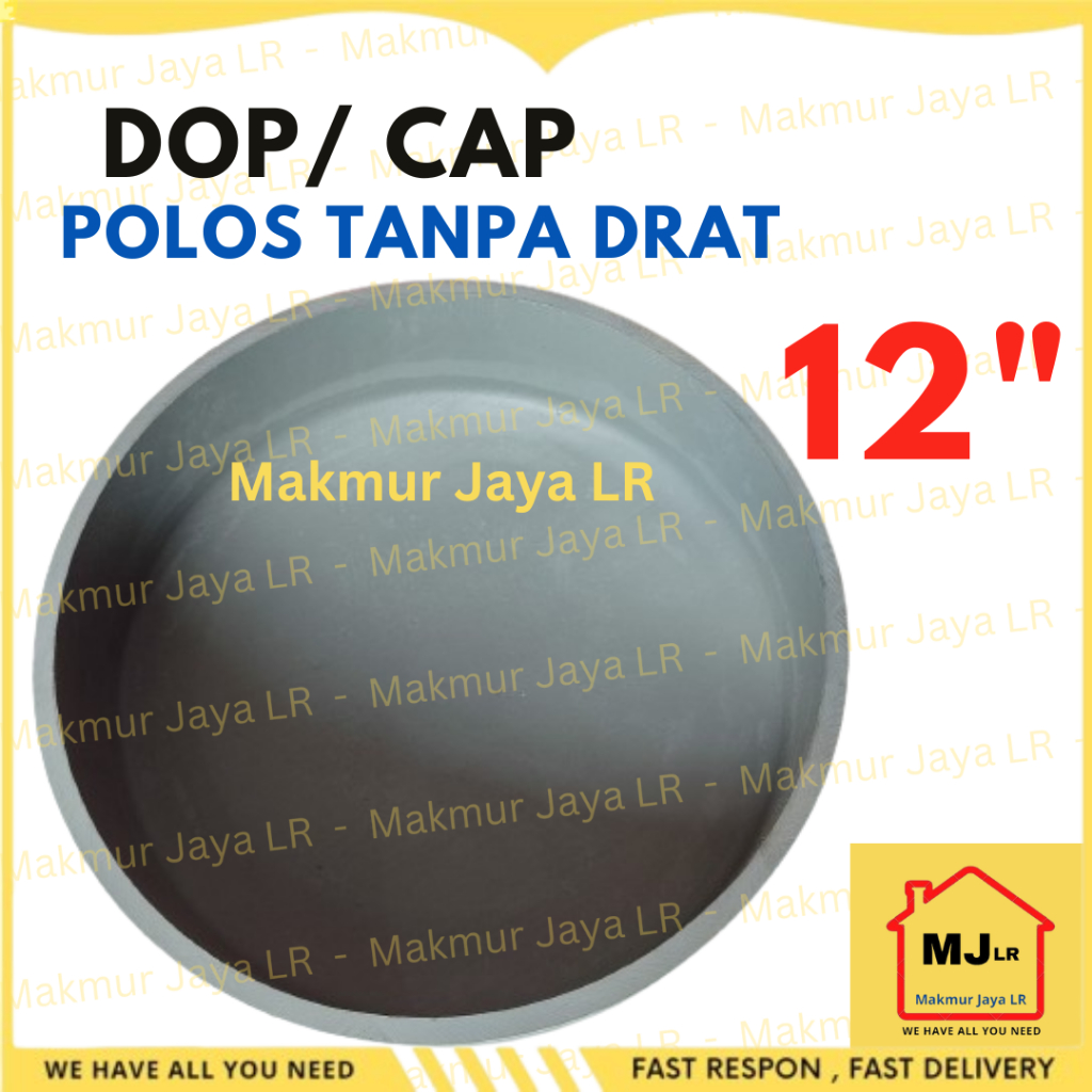 Hubcap 12" 12 inch END CAP PVC Pipe CAP Type D/AW Thick Plain Without ...