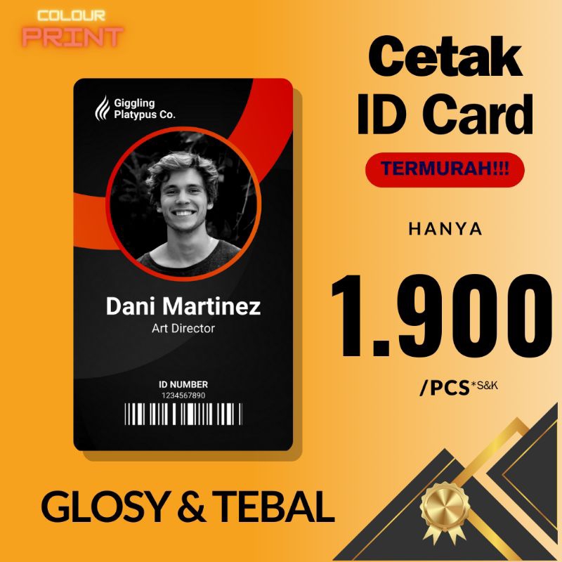 Print Premium ID Cards Member Cards | Print Student Member Cards ...