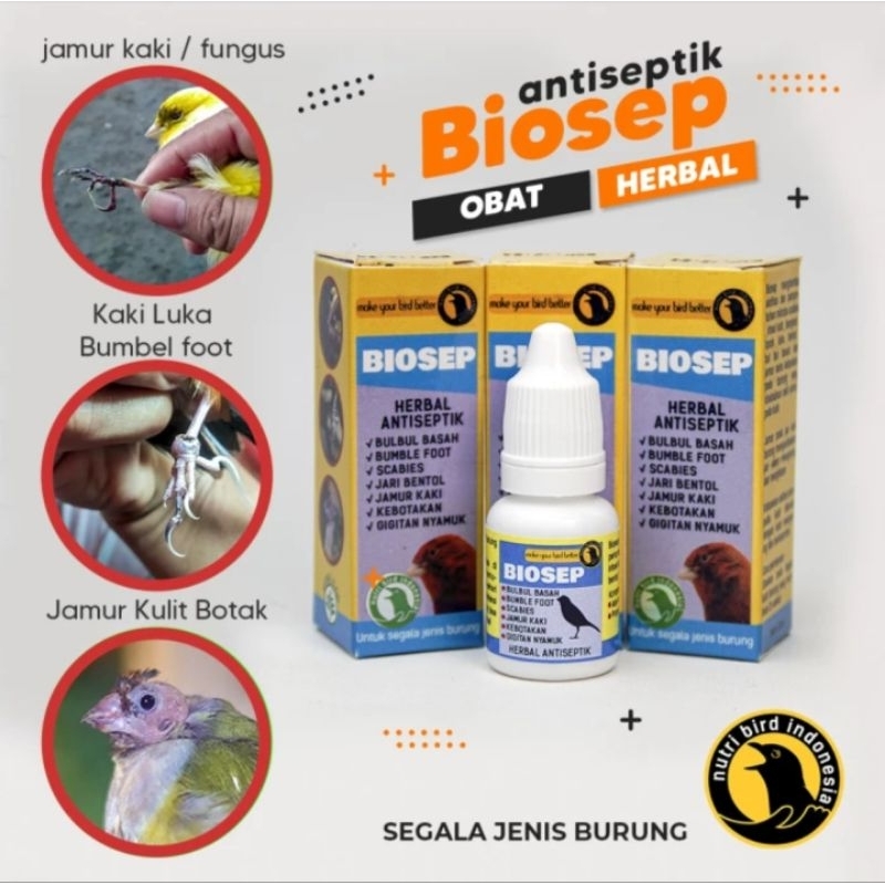 Biosep BIRD ANTI-SEPTIC Medicine for Skin Wounds, Bumps, Fungus, Bald ...