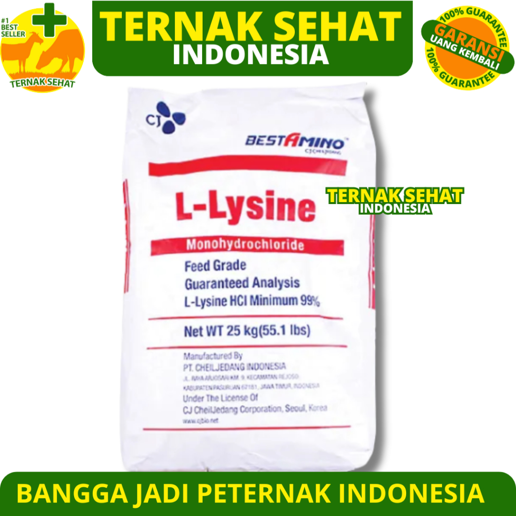 Lysine 1 KG - LYSINE - LYSINE - LYSINE - LEUSIN - VITAMIN SUPPLEMENT ...