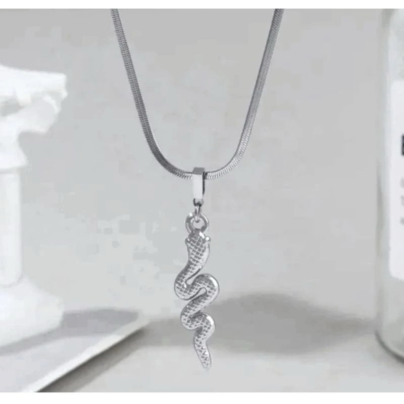 Titanium Stainlees Stell Chain Necklace New Snake Pendant Silver Rust ...