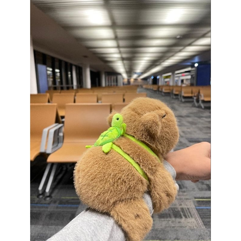 Capybara Nemplok/ Capybara Maxwell | Shopee Malaysia