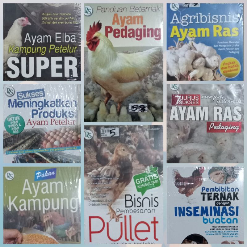 Elba Chicken Farm Book super Laying Village, Livestock Breeding With ...