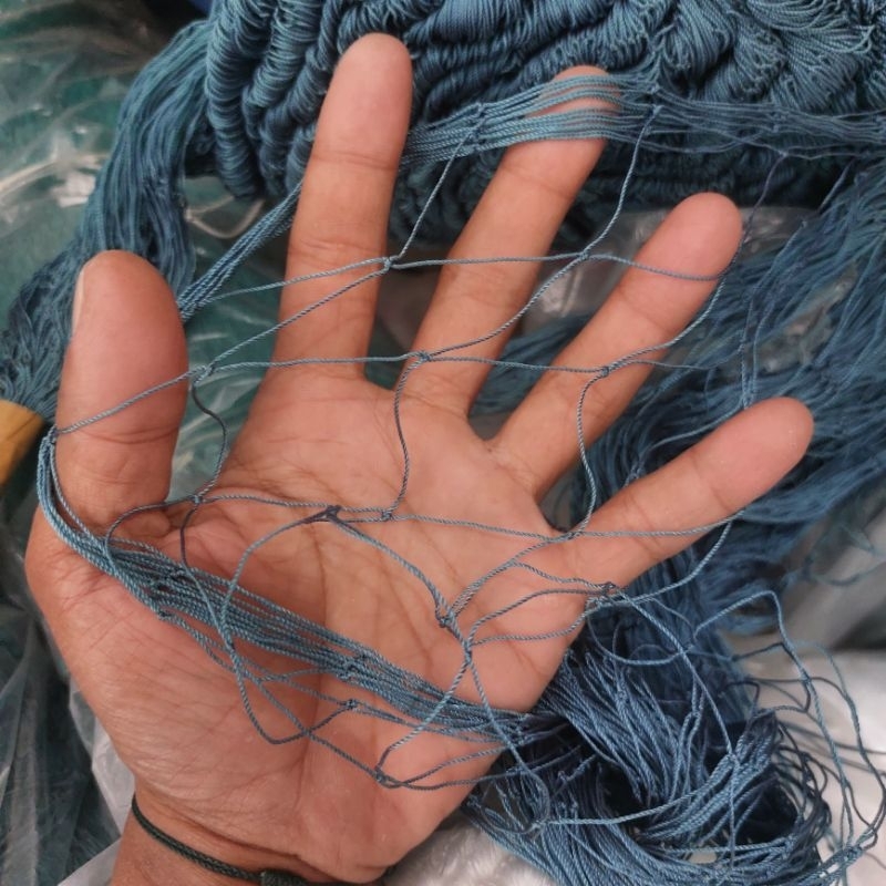 Per meter 3 in D9 blue nylon net (1mtr x 100 points) jaring ikan ...