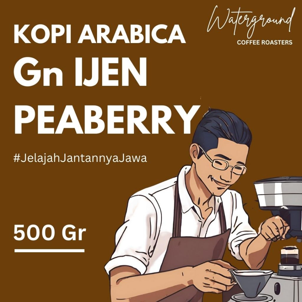 Waterground Coffee Arabica Coffee Ijen Java Peaberry Coffee Beans GRADE 1 Single Origins, 500 GR ...