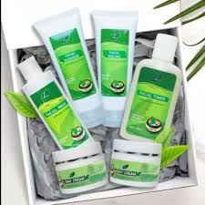 Larissa Green Tea Extract Acne Series Package - Skincare Package For ...