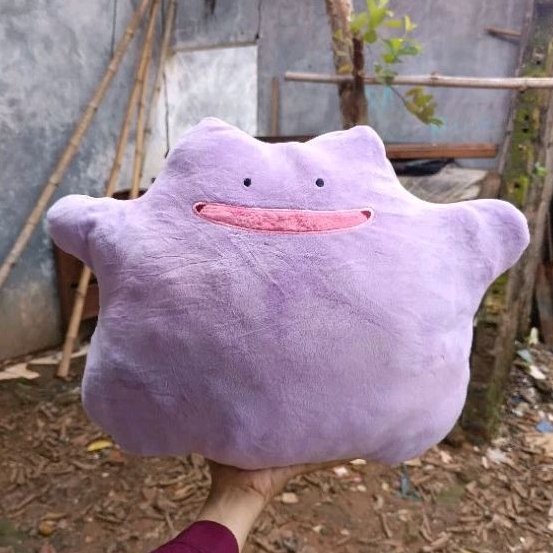 Original POKEMON DITTO DRAGONITE DOLL - Han Seo jun/Hwang In Yeop ...