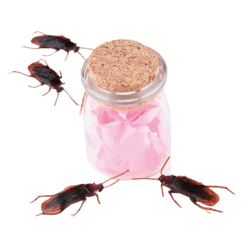 Fake Cockroaches Plastic Cockroaches Mischievous Toys Similar to ...