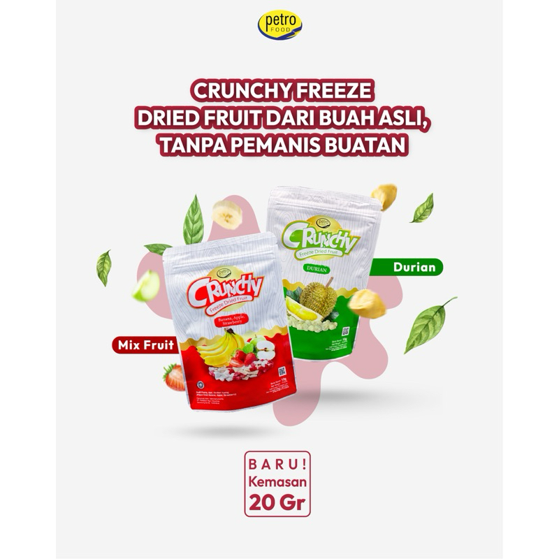 Petro Food Freeze Dried Fruit Crunchy Durian 20 Dried Fruit Chips ...