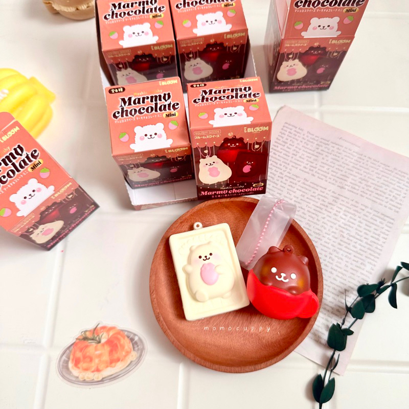 Marmo CHOCOLATE blind box squishy by Ibloom Japan (CHOCOLATE) | Shopee Malaysia