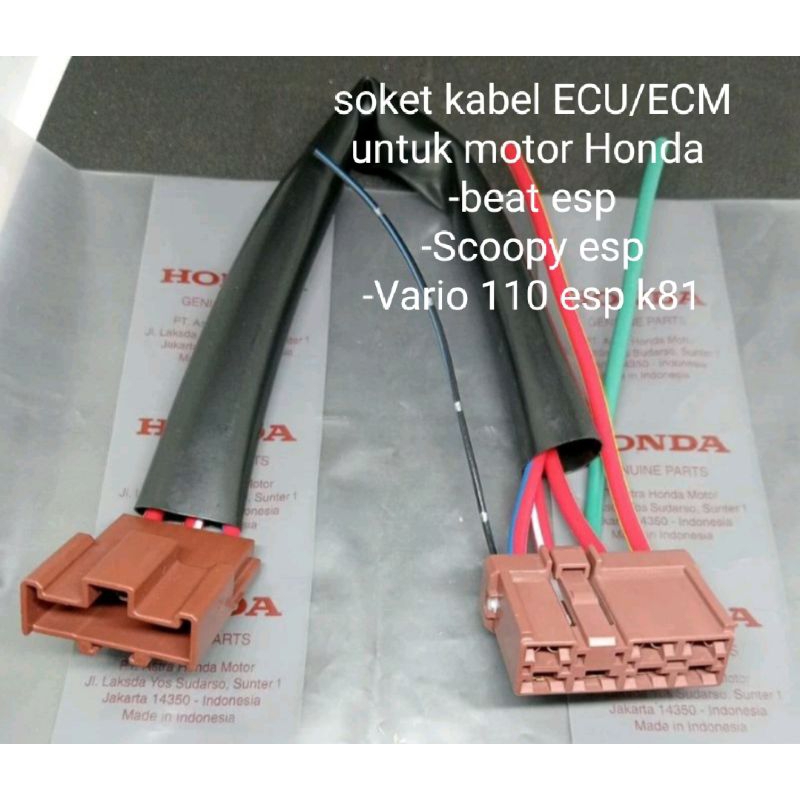 Ecu/ecm Cable Socket For Honda beat esp, Scott esp, Vario 110 esp k81 ...