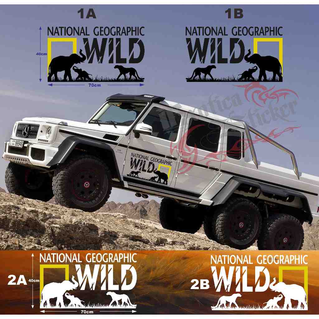 Nat geo wild cutting sticker 70cm | Shopee Malaysia
