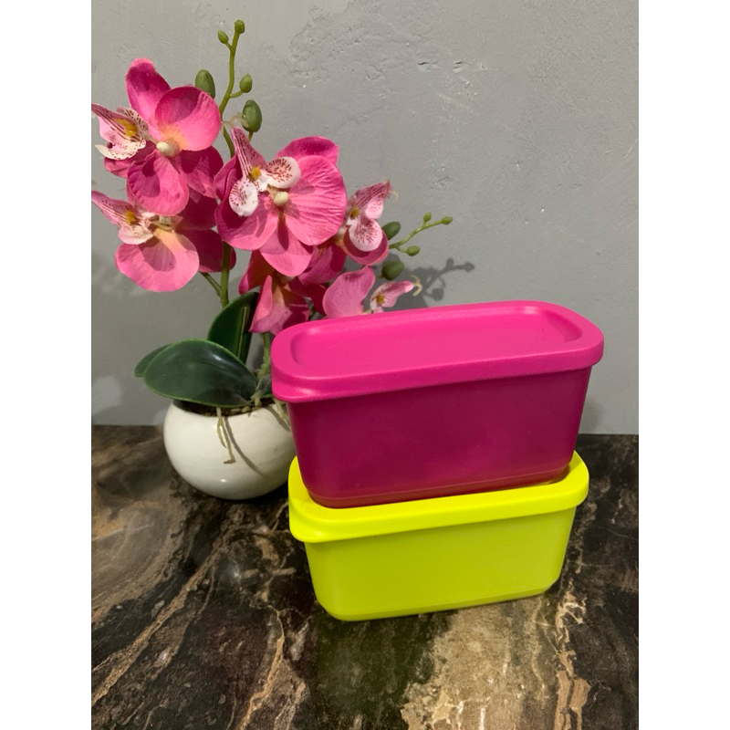 Mini RECTANGULAR ORIGINAL TUPPERWARE (2PCS) | Shopee Malaysia