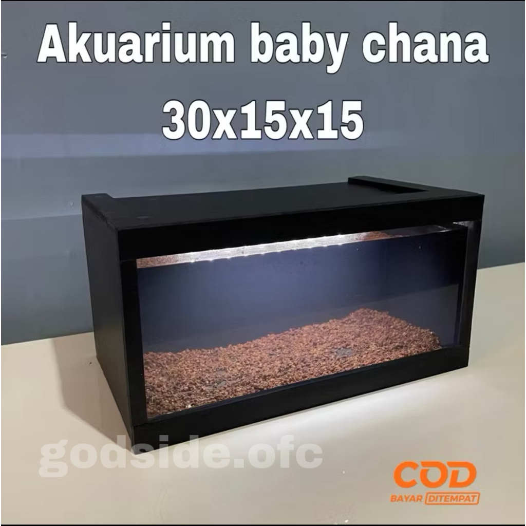 Pvc and black acrylic Baby Chana aquarium, full set of sand and lights ...