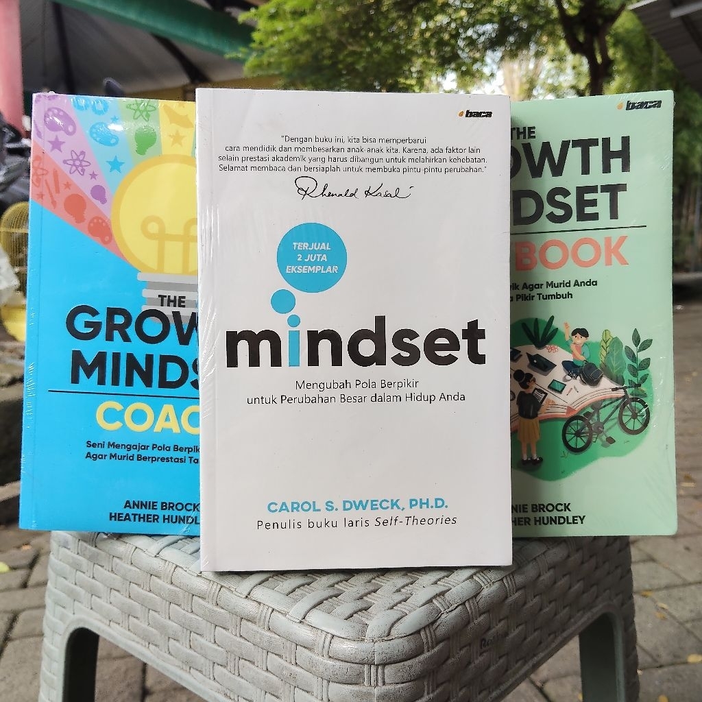 Original Book • Mindset - Growth Mindset - Mindset Playbook / Changing ...