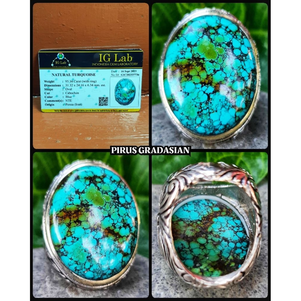 Super jumbo persian turquoise contest class ceplok kuro + memo lab ...