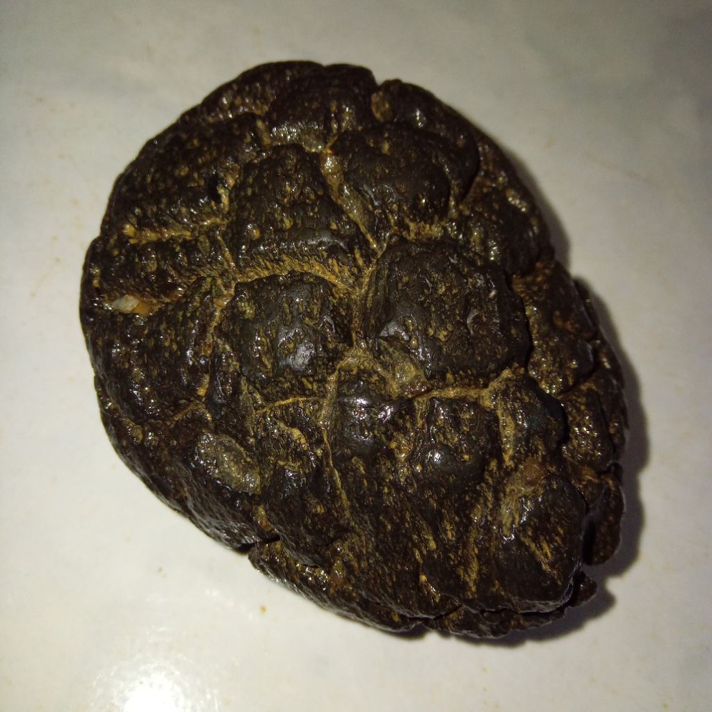 Original Satam Meteorite Big Size Stone / Jumbo Size | Shopee Malaysia