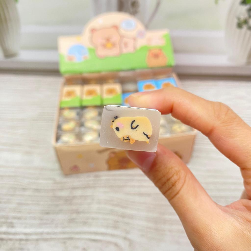 Eraser Stip Model Capybara Mini Rubber Eraser Box Capybara Motif ER ...