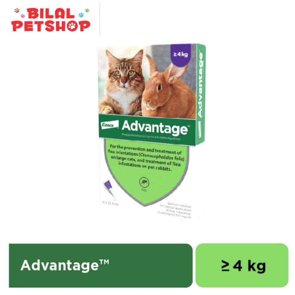 Advantage Flea Drops for Cats and Rabbits weighing under 4 kg above 4 ...