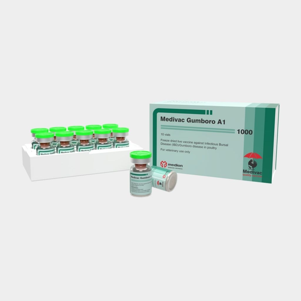 Medivac GUMBORO A Chicken Vaccine for 500 Chickens to Prevent Gumboro ...